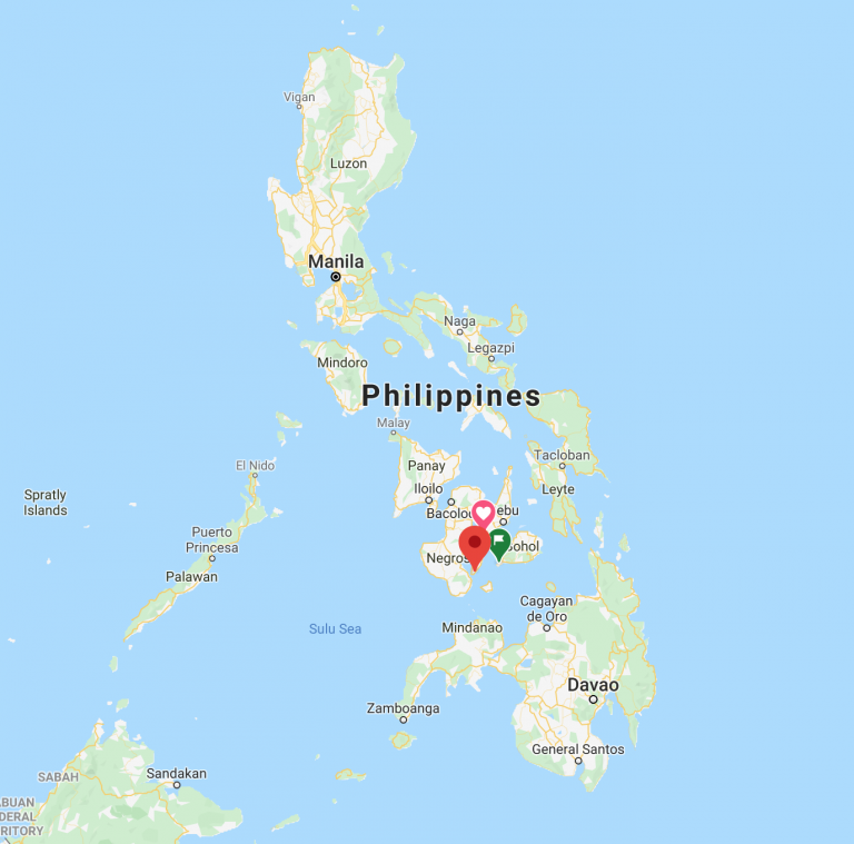 Ultimate Guide for Oslob Whale Shark Watching - Local Tour Guide Cebu